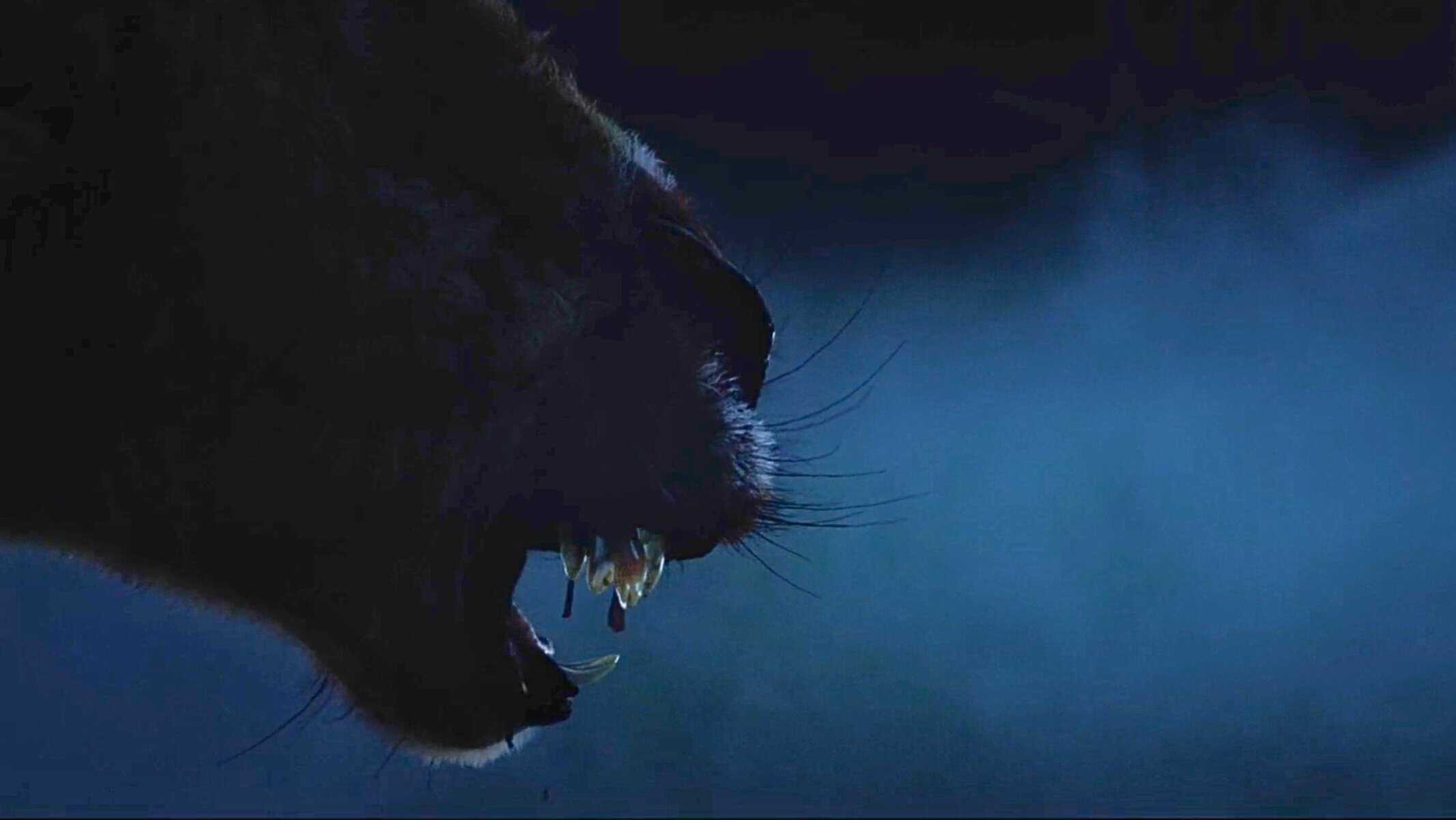 Submit Your Film! - The Scariest Things