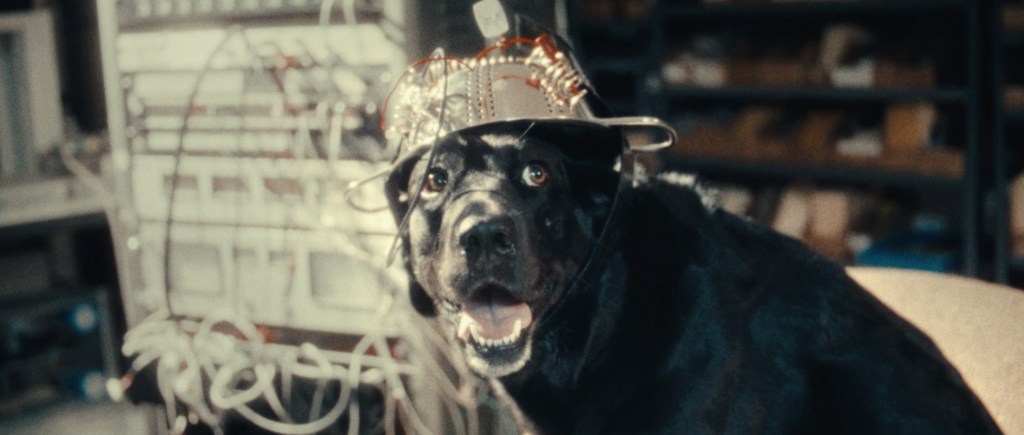 Top 25 Horror Films with Disabled Characters - The Scariest Things